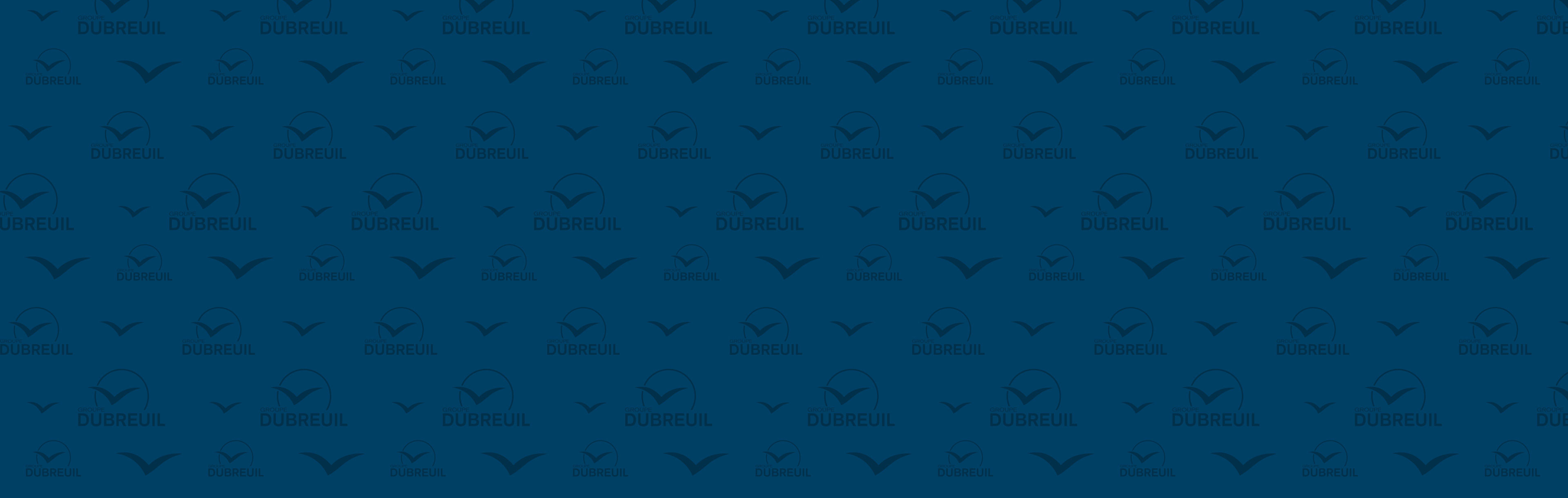 Nomination : Anthony Valentini rejoint le groupe Dubreuil en tant que ...